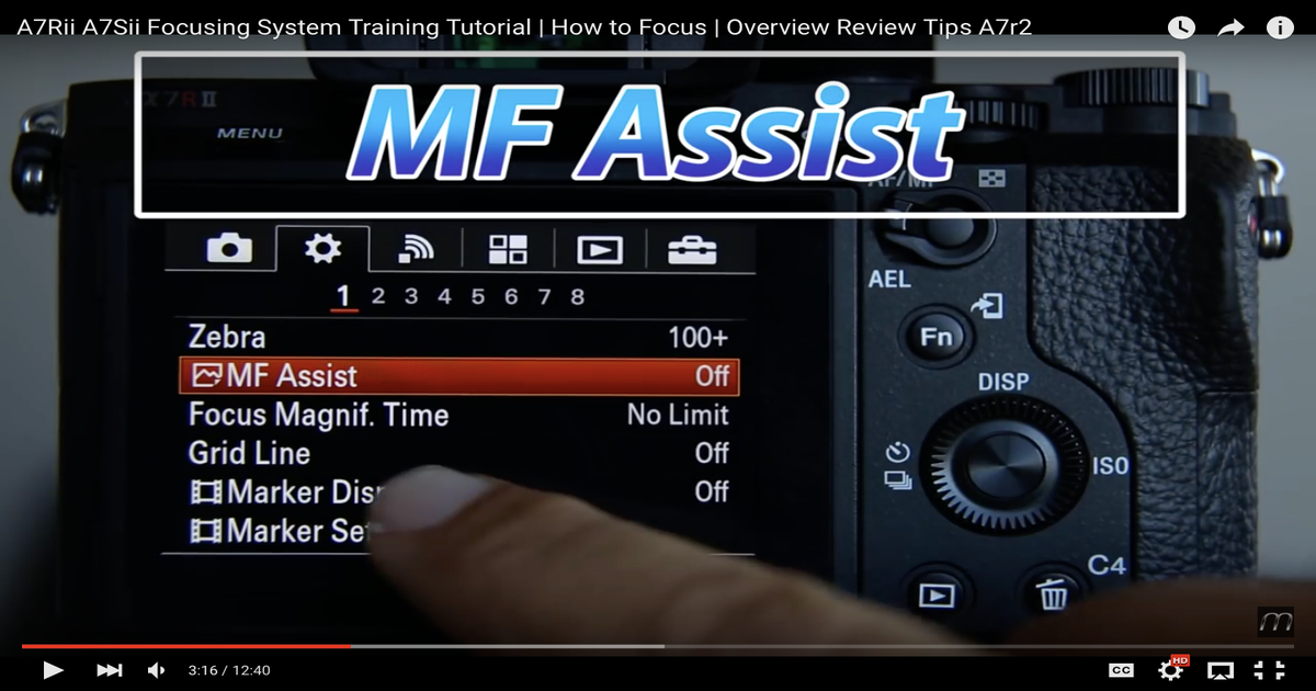 Stay Sharp: Focus Mode Tutorial For α7R II & α7S II | Sony | Alpha Universe
