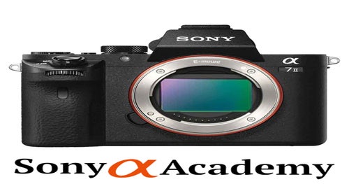 Sony Alpha Academy Session 2: Choosing The Right Lens | Sony | Alpha ...